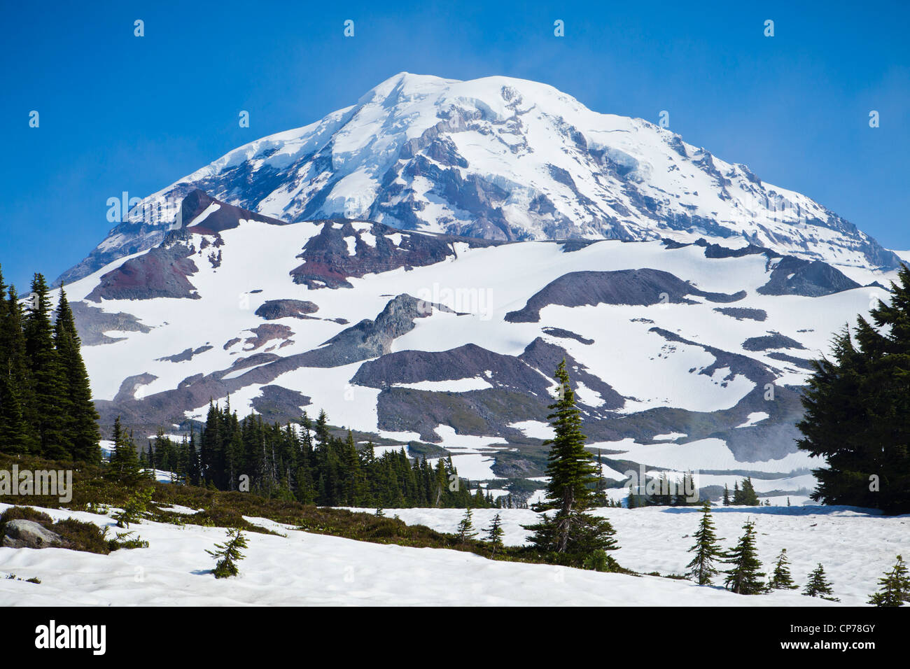 Il lato nord ovest del monte Rainier, il Parco Nazionale del Monte ...
