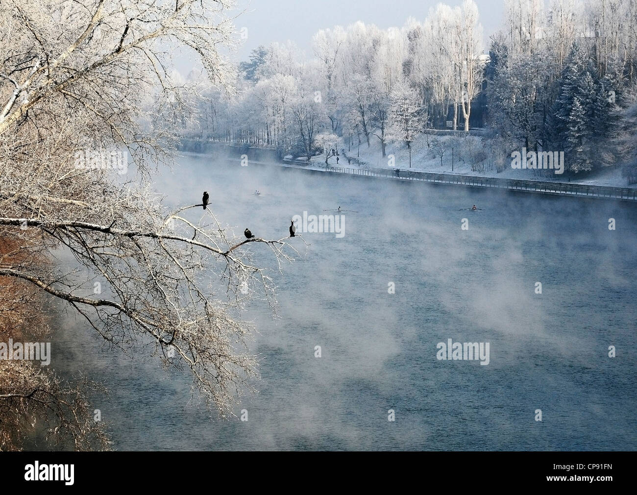 Europa Italia, Piemonte, Torino, un tratto del Po al Parco del ...