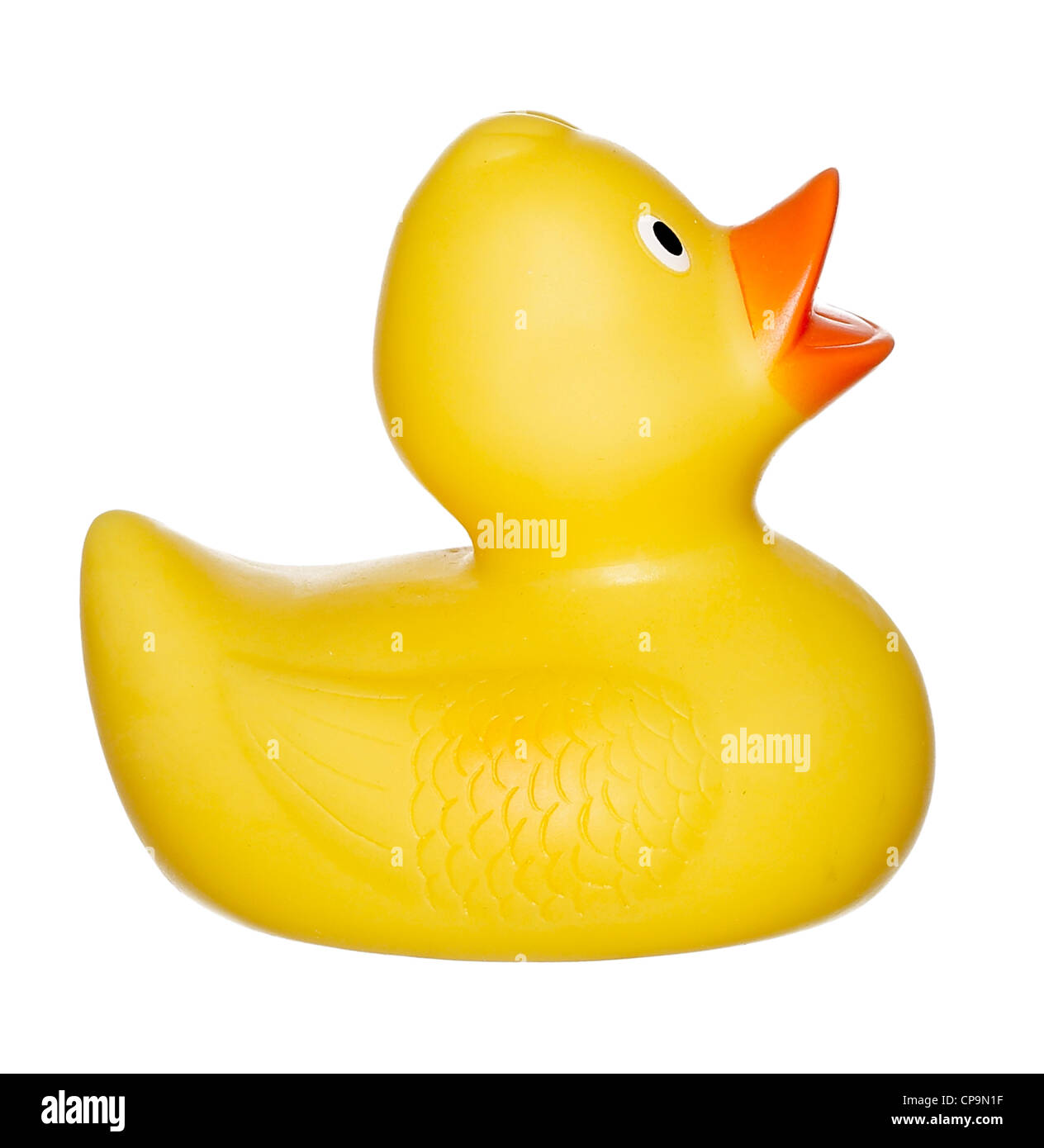 Anatra becco giallo immagini e fotografie stock ad alta risoluzione - Alamy