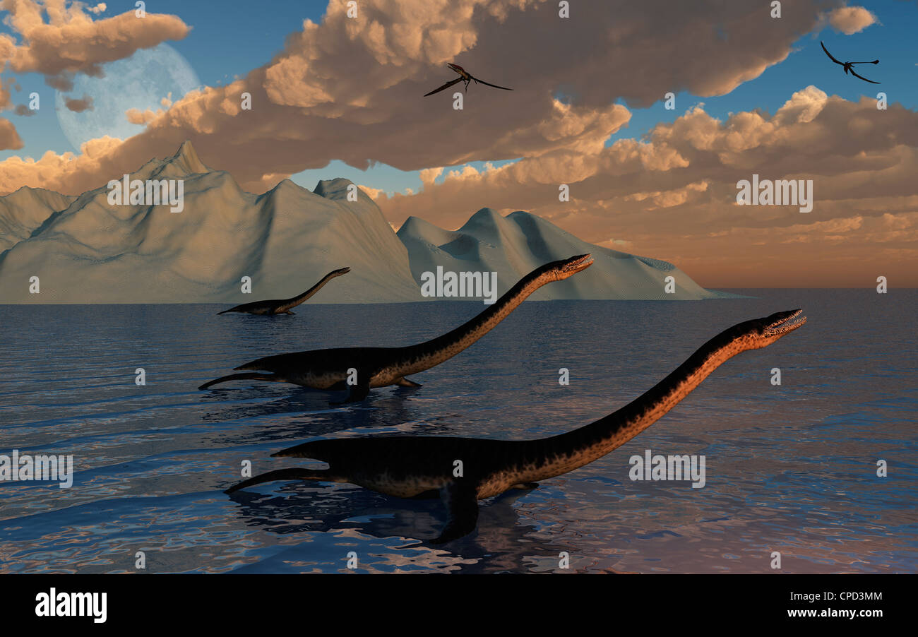 Plesiosauri plesiosauri immagini e fotografie stock ad alta risoluzione ...