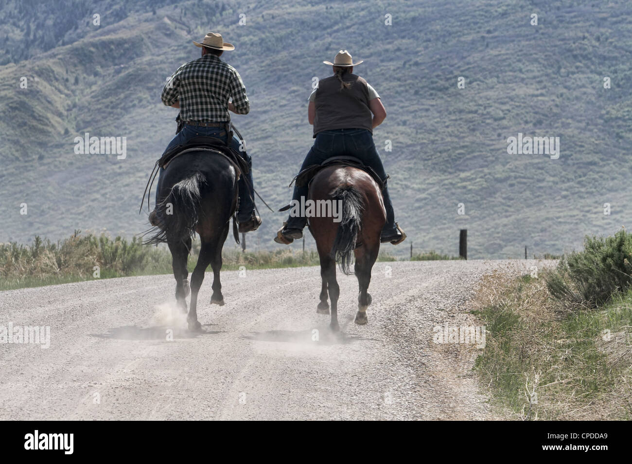 Cowboy e cowgirl cavalcare cavalli al galoppo in una rievocazione ...