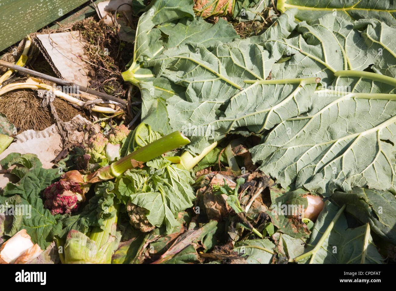 Vegetale biologico immagini e fotografie stock ad alta risoluzione - Alamy