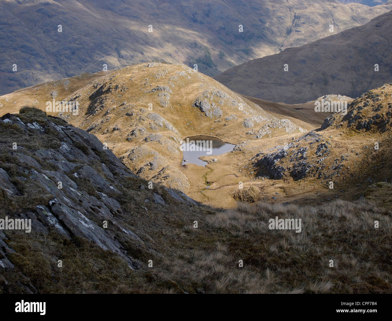 Beinn bhuidhe immagini e fotografie stock ad alta risoluzione - Alamy