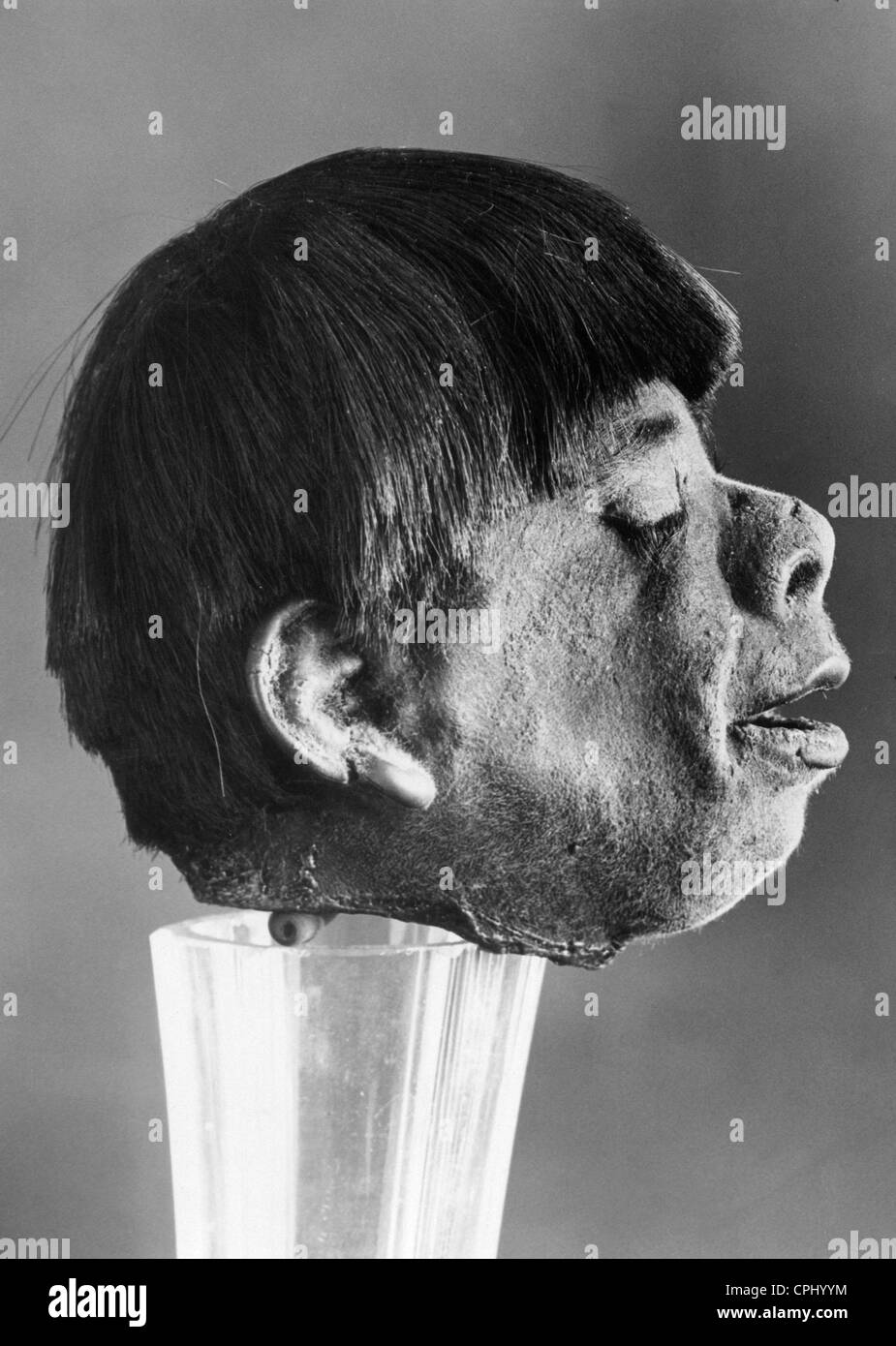 Testa mummificata immagini e fotografie stock ad alta risoluzione - Alamy