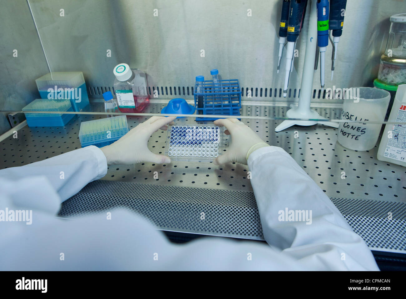 Cellula Di Coltura Immagini e Fotos Stock - Alamy