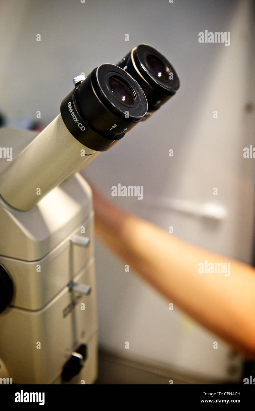 Dettagli del microscopio immagini e fotografie stock ad alta ...