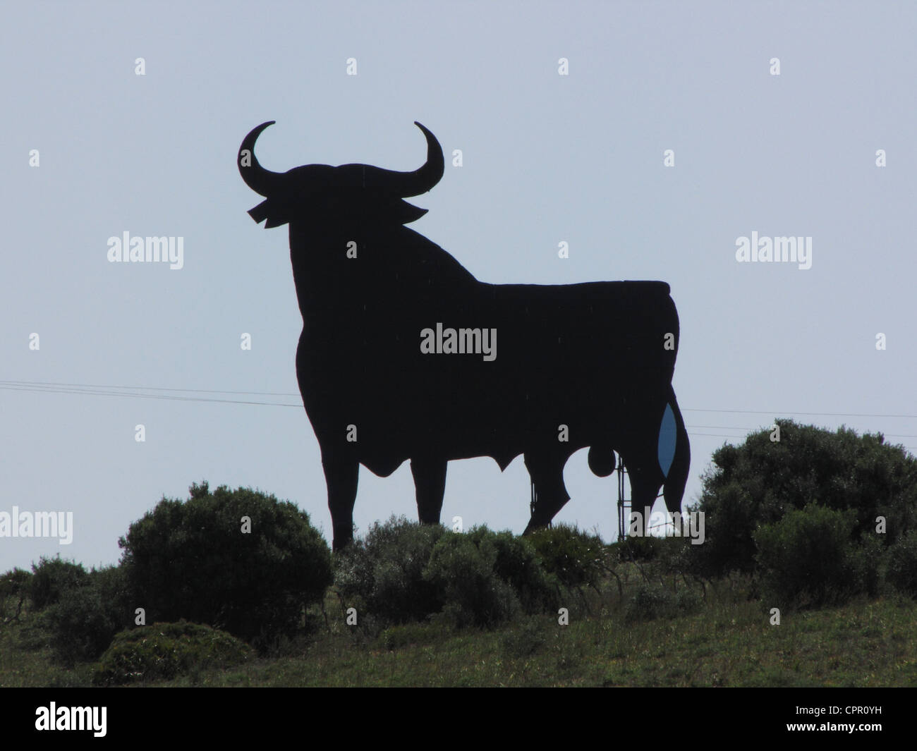 Simbolo del toro immagini e fotografie stock ad alta risoluzione - Alamy