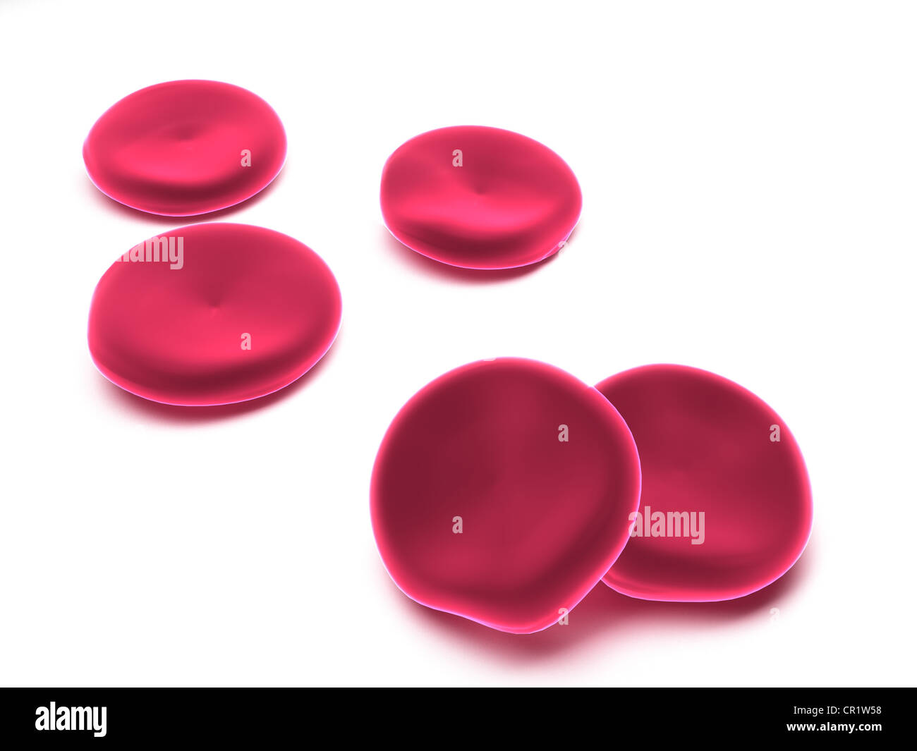 3d-rendering, cellule rosse del sangue, eritrociti Foto stock - Alamy