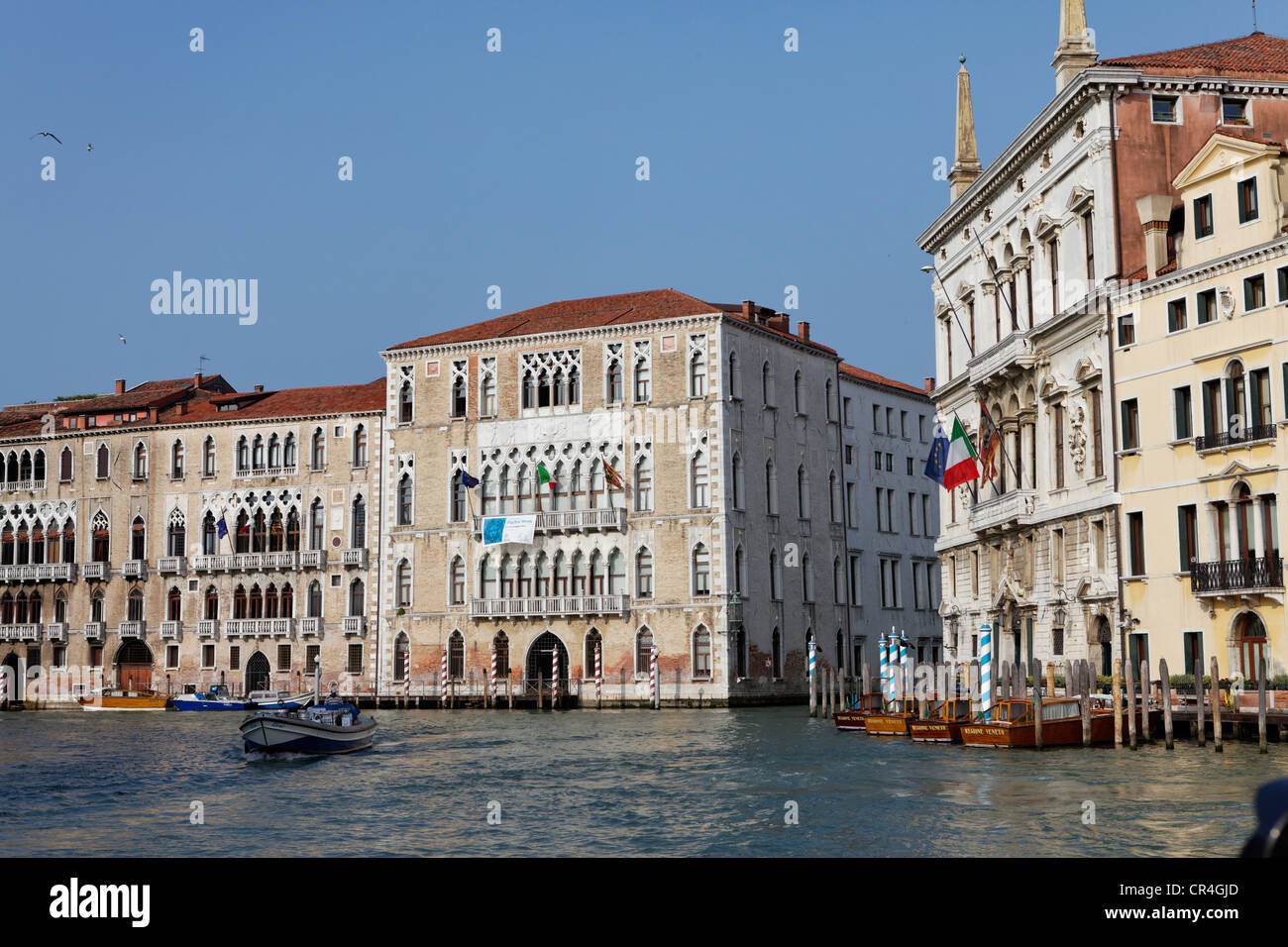 Palazzo foscari immagini e fotografie stock ad alta risoluzione - Alamy