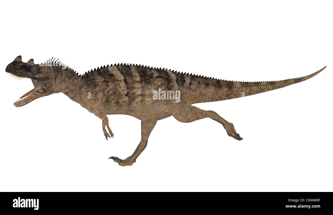 Ceratosaurus magnicornis immagini e fotografie stock ad alta ...