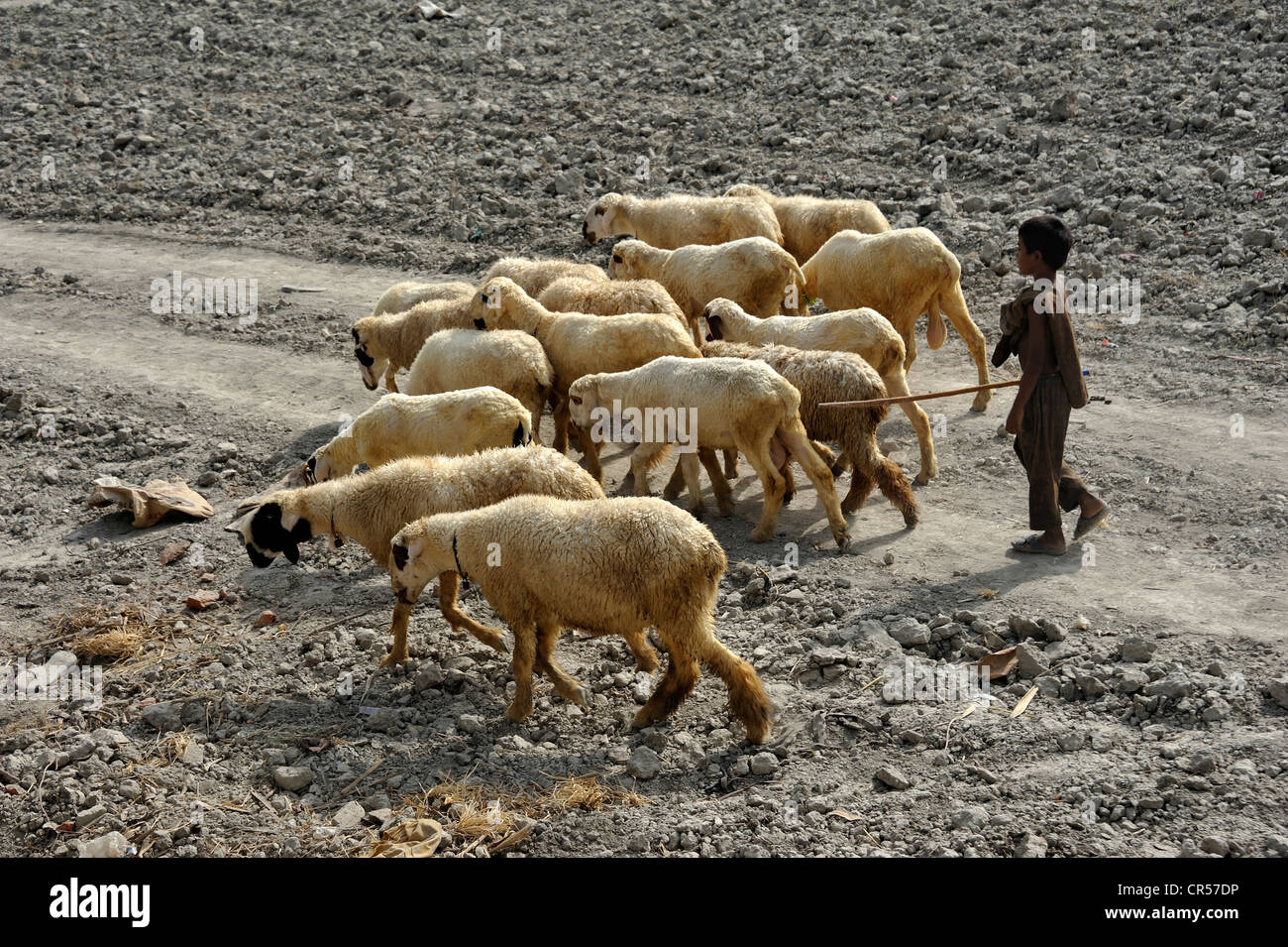 Villaggio del punjab pakistan immagini e fotografie stock ad alta ...