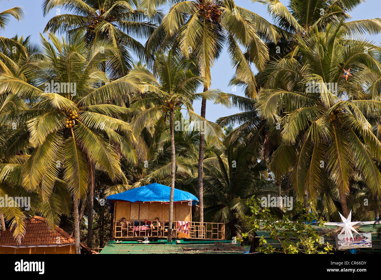 India, stato di Goa, Palolem, bungalow sotto alberi di noce di cocco in ...