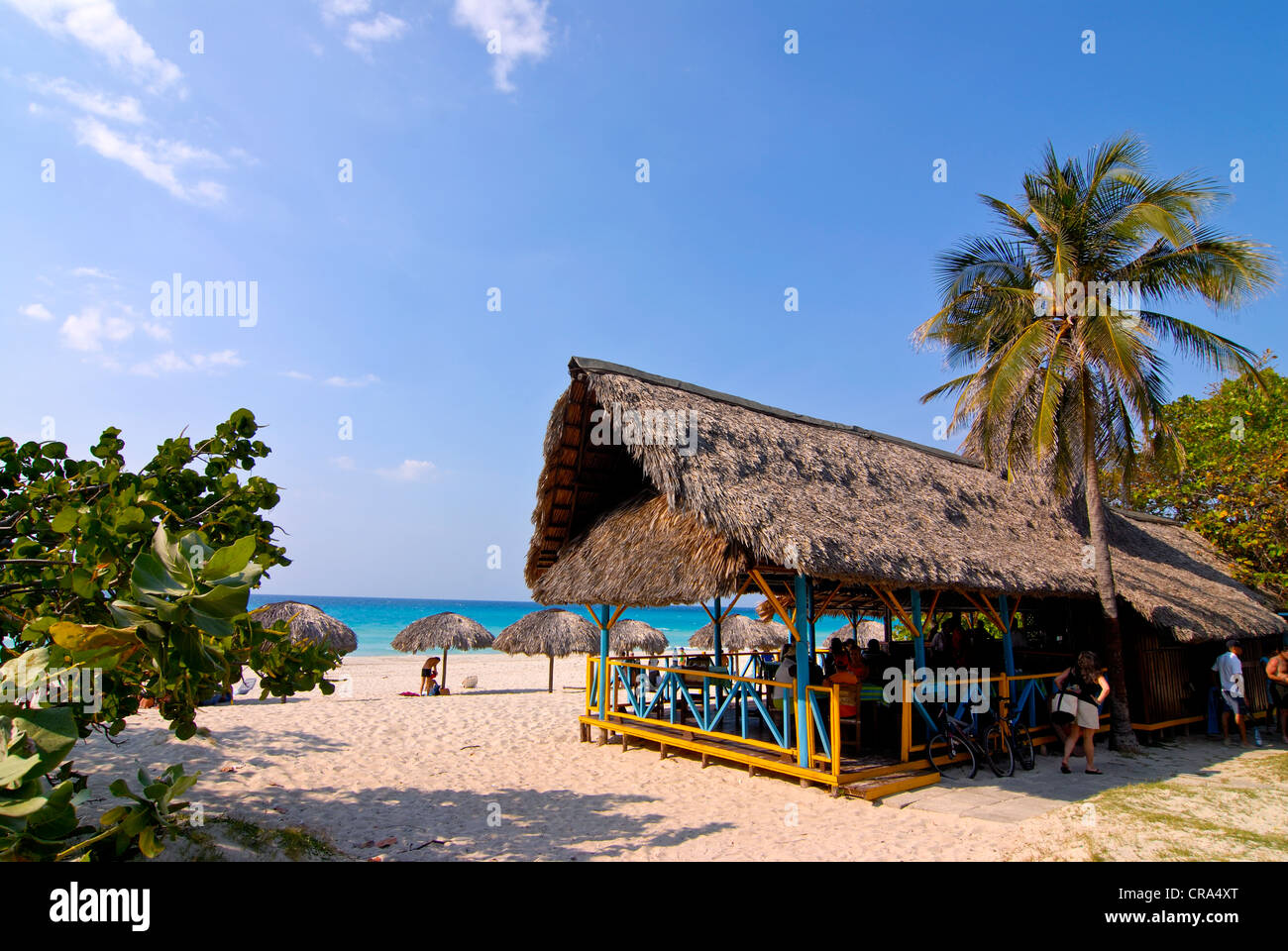Il bar sulla spiaggia di Varadero, Cuba, Caraibi Foto stock - Alamy