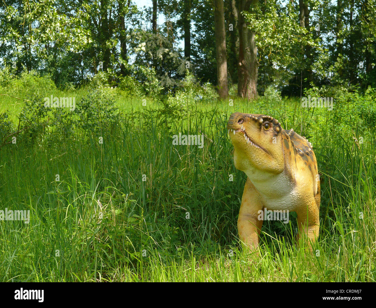 Ornithosuchus ornithosuchus immagini e fotografie stock ad alta ...