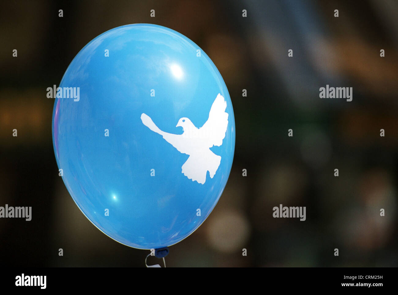 Colomba della pace immagini e fotografie stock ad alta risoluzione - Alamy