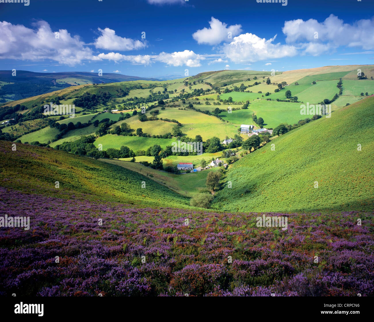 Le dolci colline immagini e fotografie stock ad alta risoluzione - Alamy