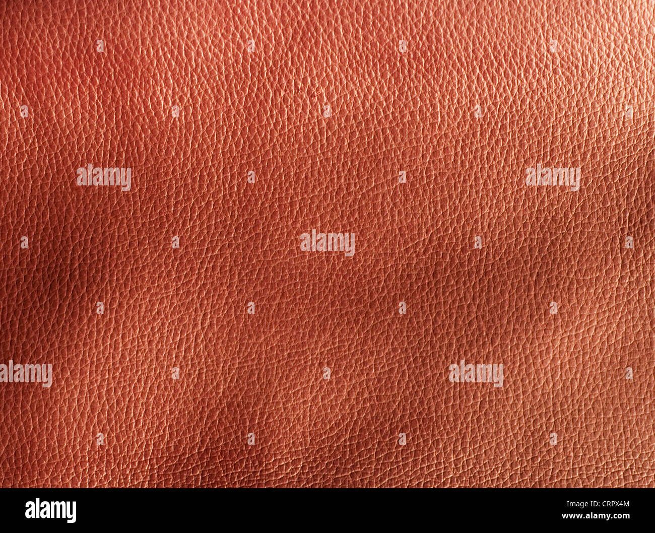 Strato lucido pelle immagini e fotografie stock ad alta risoluzione - Alamy