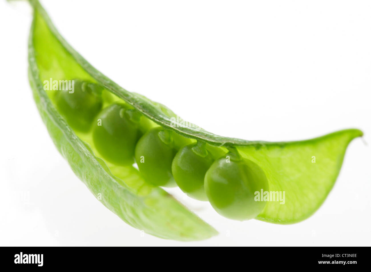 Elementi di pisello immagini e fotografie stock ad alta risoluzione - Alamy