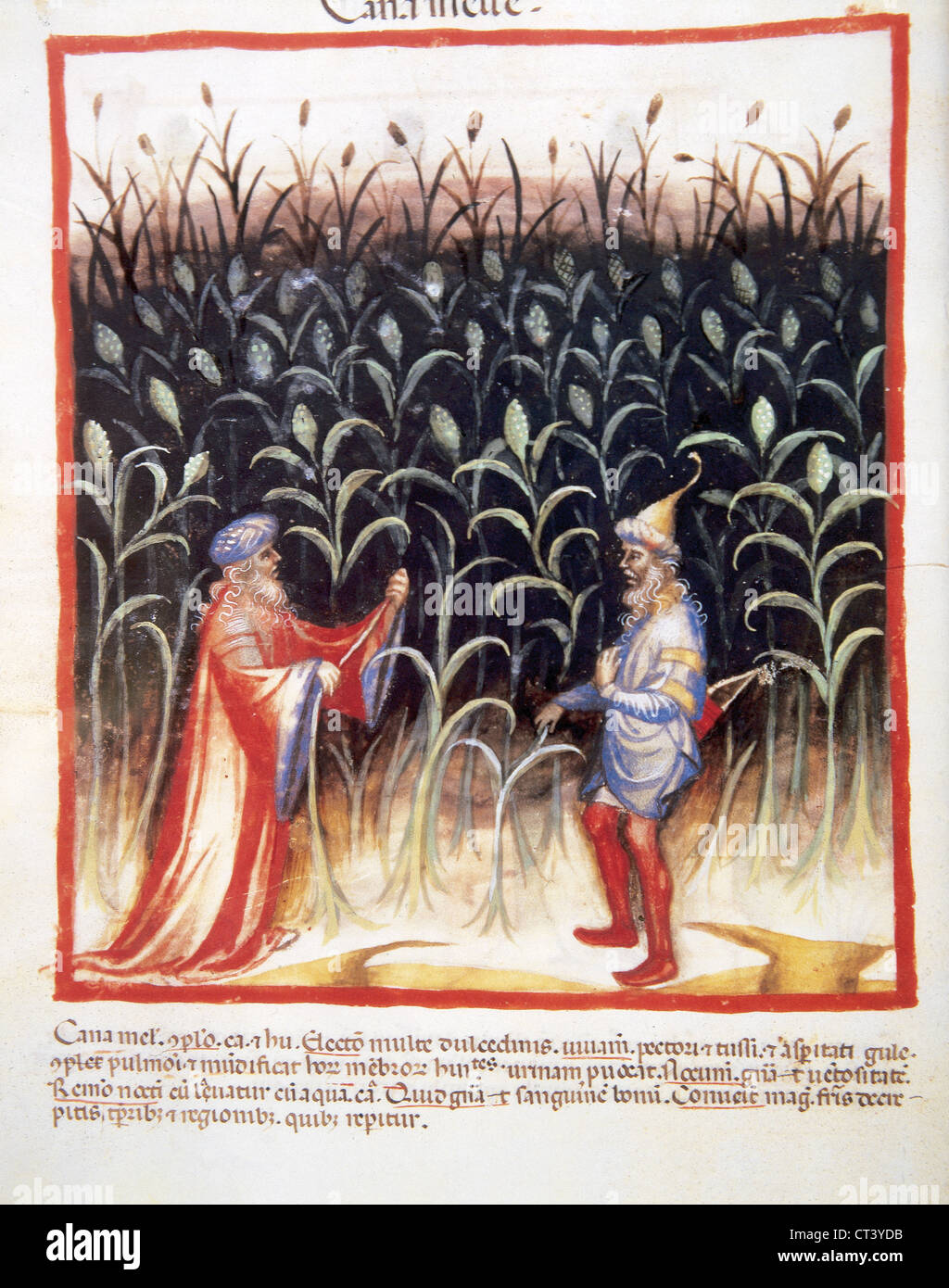 Contadini medioevo immagini e fotografie stock ad alta risoluzione - Alamy