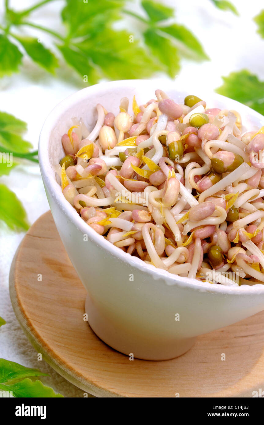 Fagiolo germinato immagini e fotografie stock ad alta risoluzione - Alamy