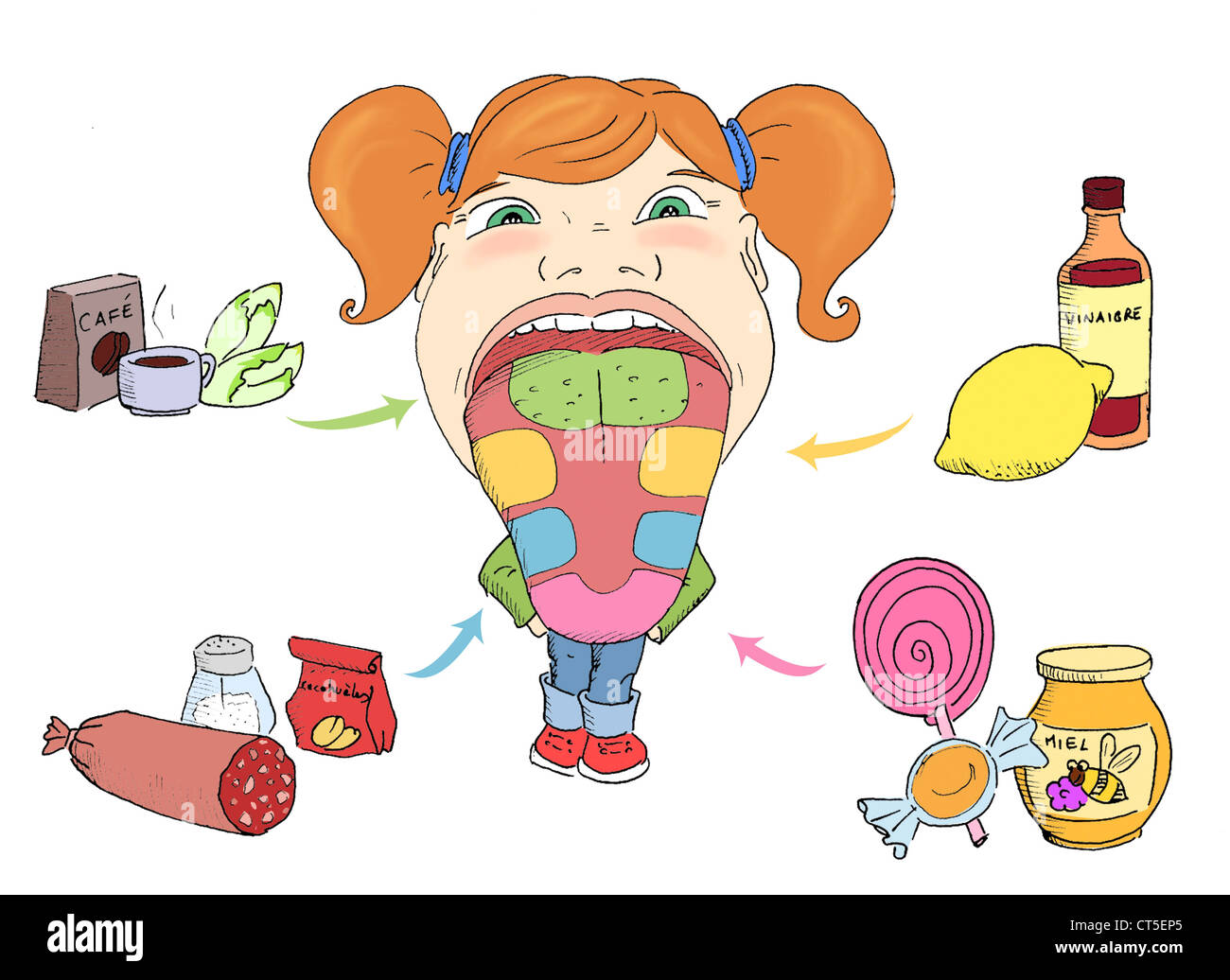 Receptor del gusto immagini e fotografie stock ad alta risoluzione - Alamy