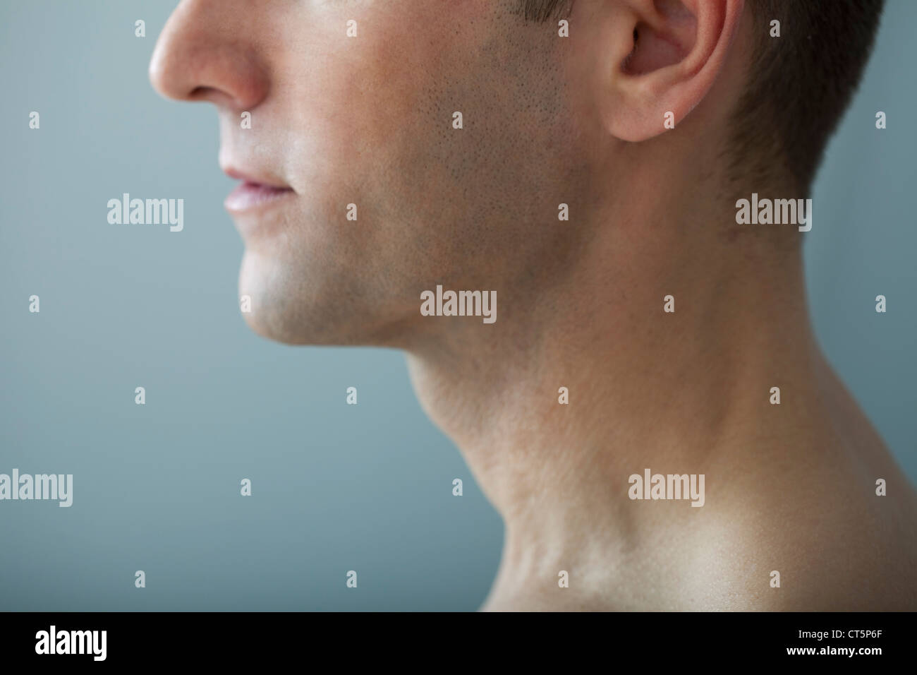 Collo anatomico immagini e fotografie stock ad alta risoluzione - Alamy