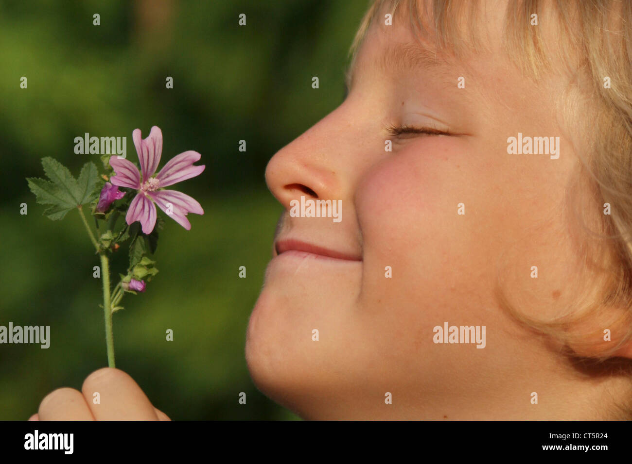 Senso dell'olfatto immagini e fotografie stock ad alta risoluzione - Alamy