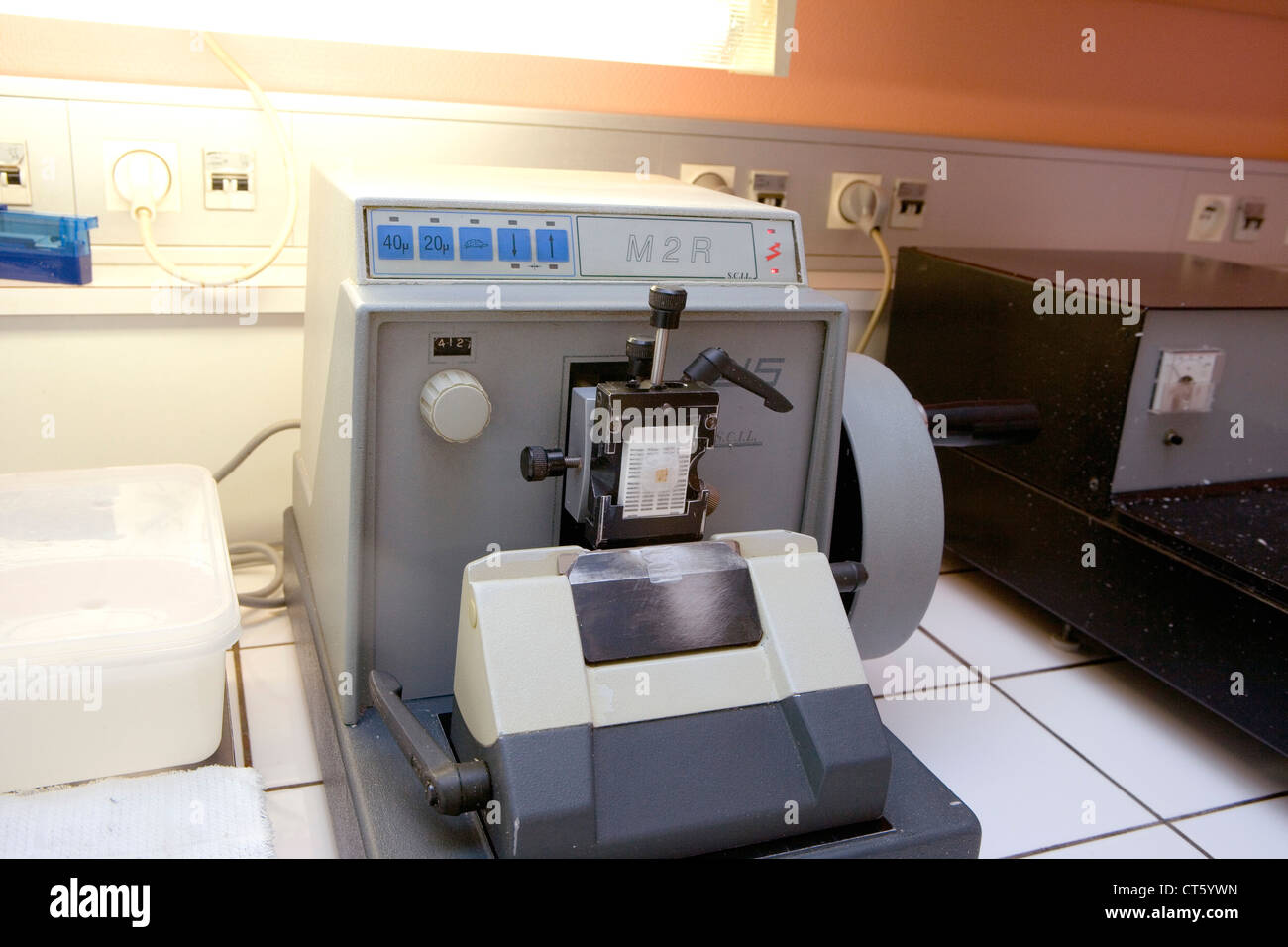 Uso del microtomo immagini e fotografie stock ad alta risoluzione - Alamy