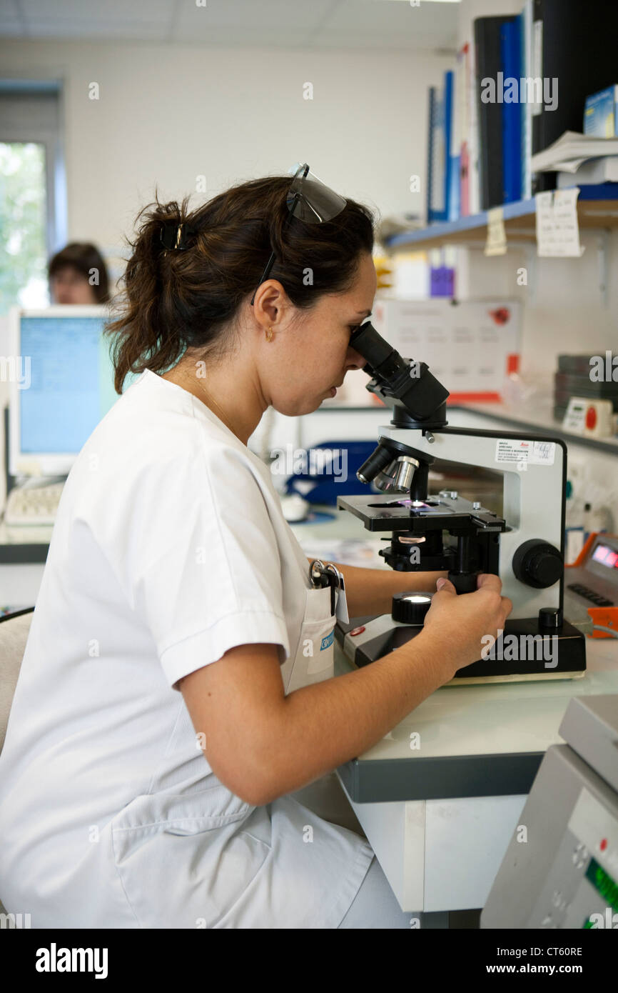 Tecniche di laboratorio immagini e fotografie stock ad alta risoluzione ...