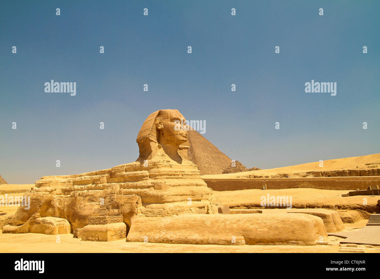 Restauro della sfinge immagini e fotografie stock ad alta risoluzione ...