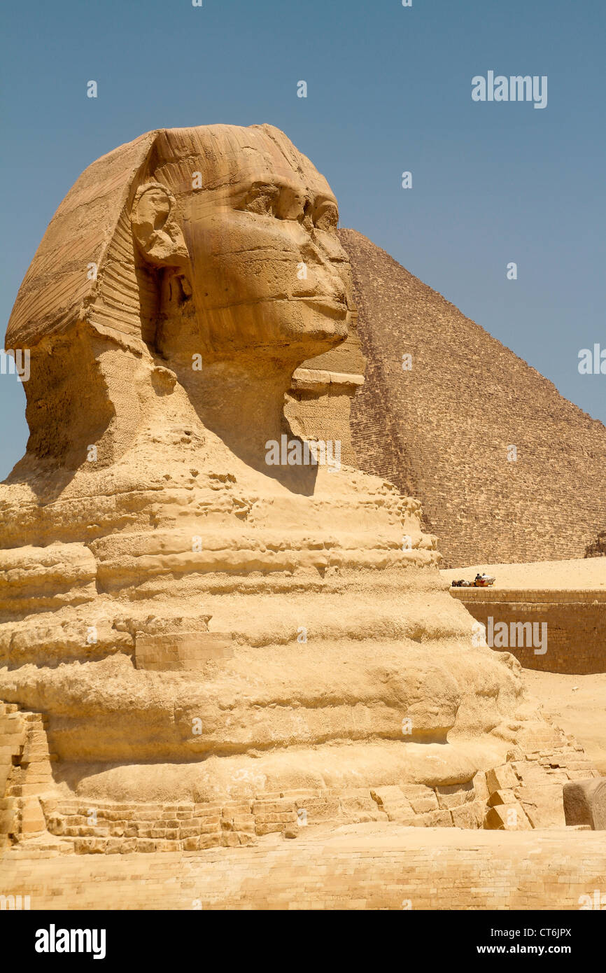 Restauro della sfinge immagini e fotografie stock ad alta risoluzione ...