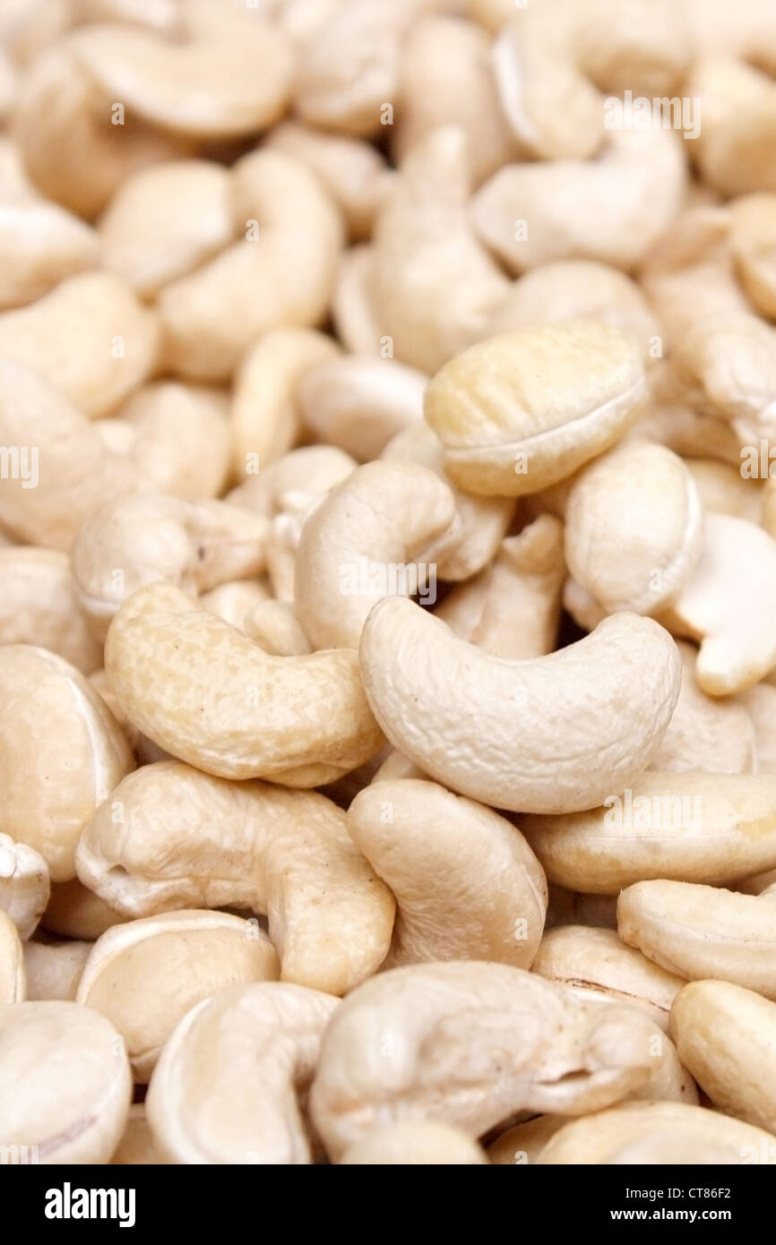 Anacardi crudi con guscio immagini e fotografie stock ad alta ...