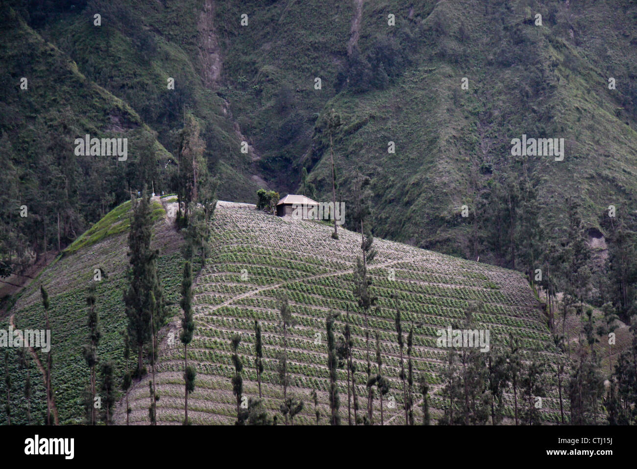 Casa sulla collina verde immagini e fotografie stock ad alta ...