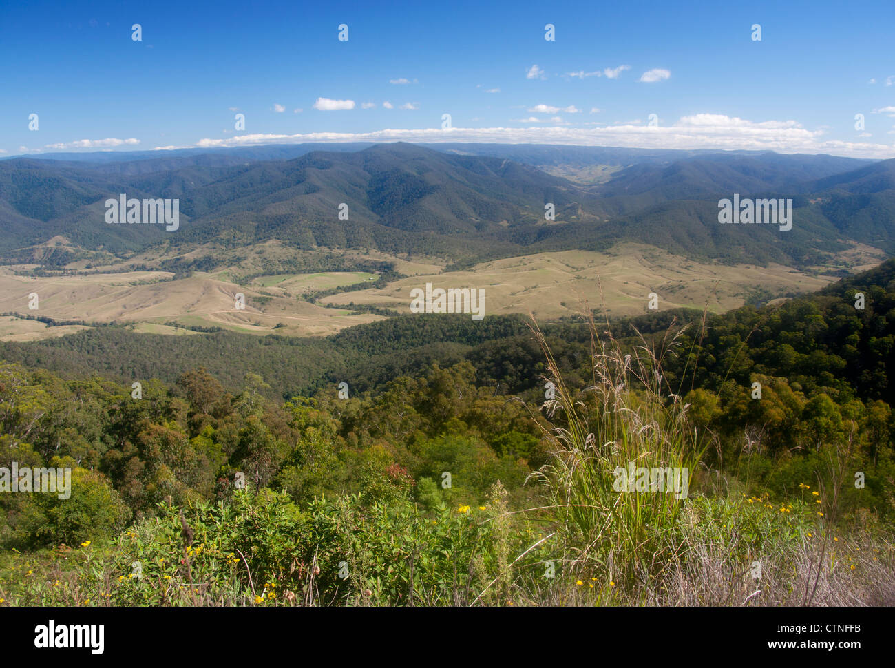 Vedetta di carson immagini e fotografie stock ad alta risoluzione - Alamy