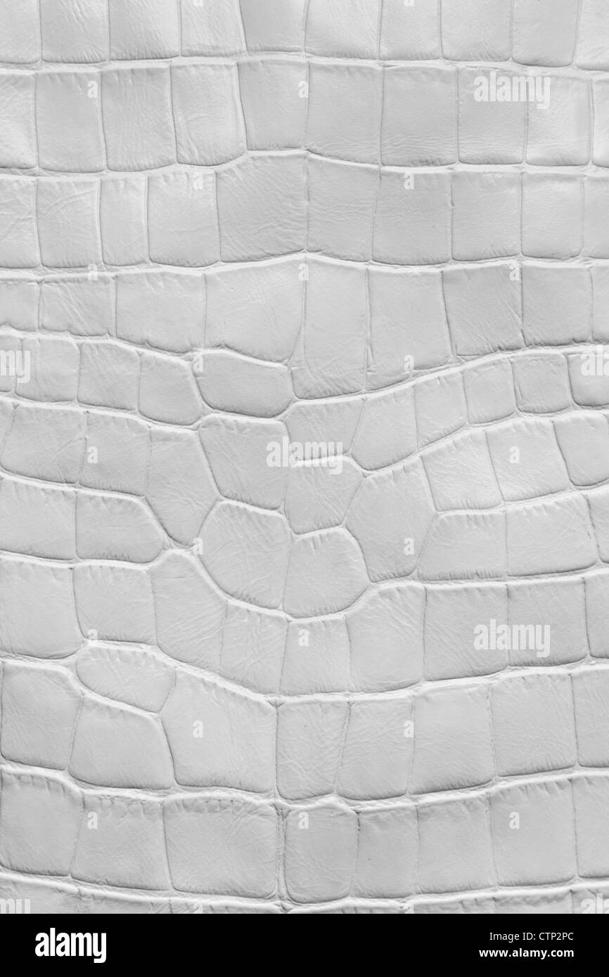 Crocodile texture immagini e fotografie stock ad alta risoluzione - Alamy