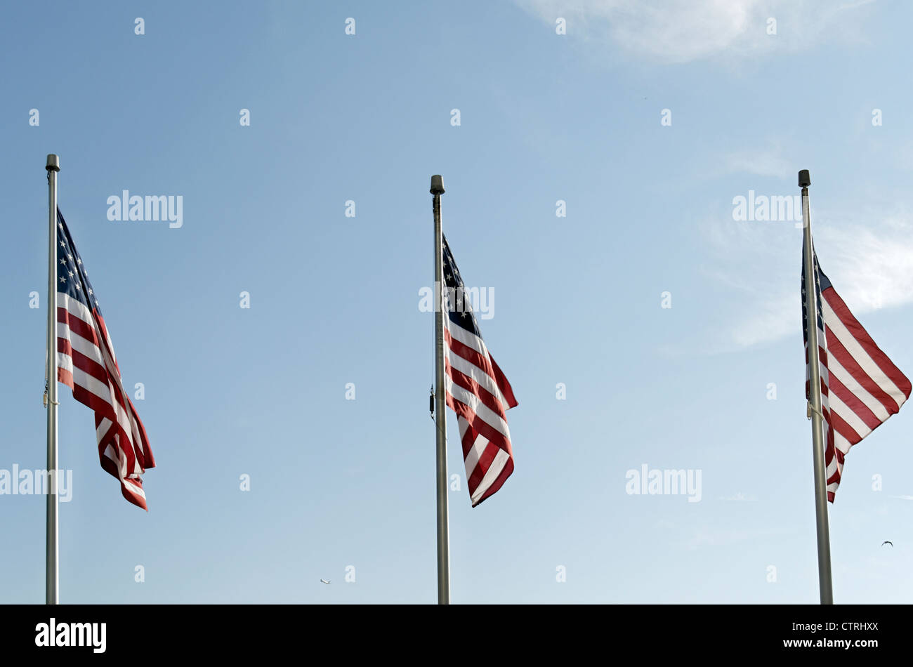 Bandiera di miami immagini e fotografie stock ad alta risoluzione - Alamy