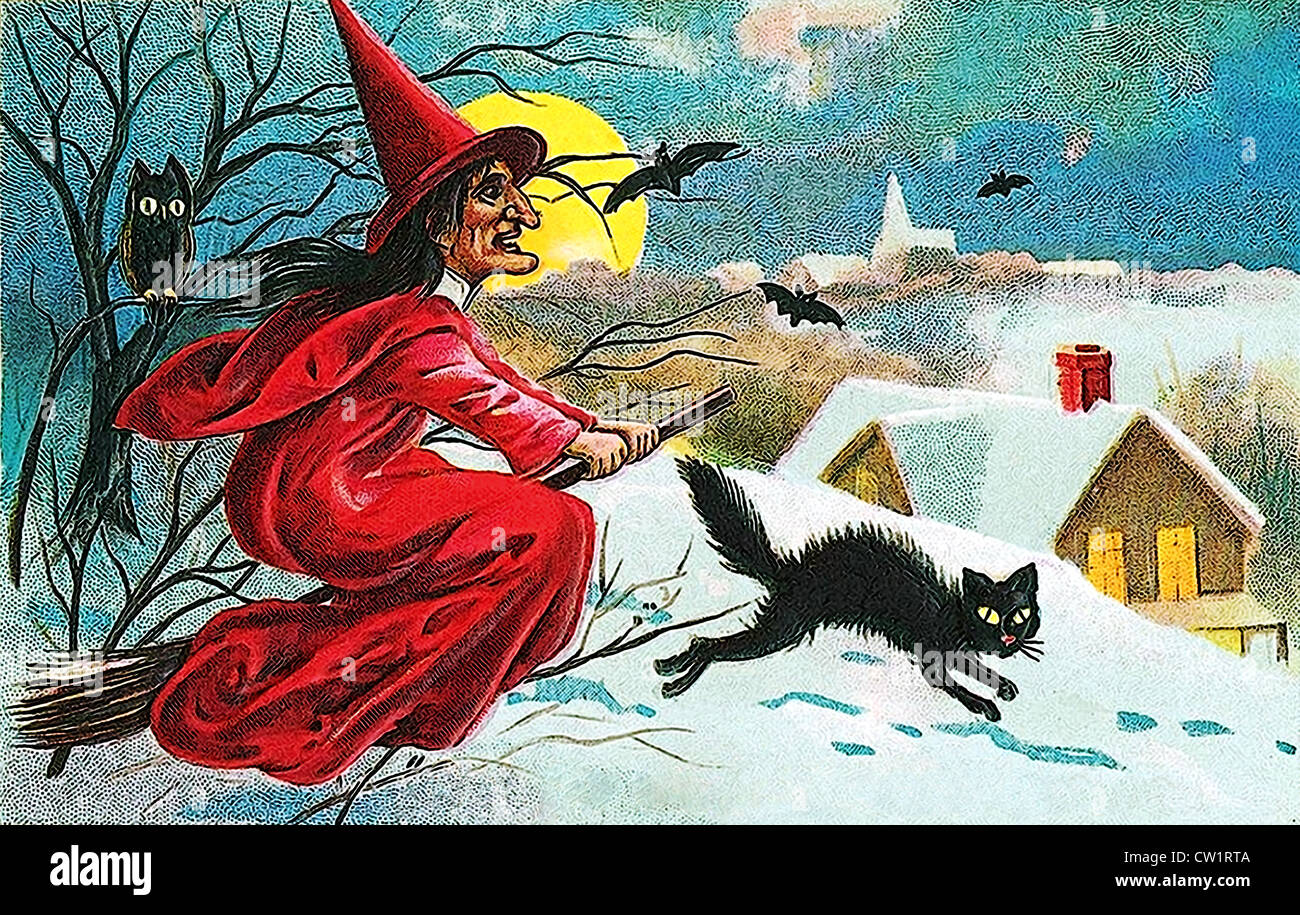 Owls illustrations immagini e fotografie stock ad alta risoluzione - Alamy