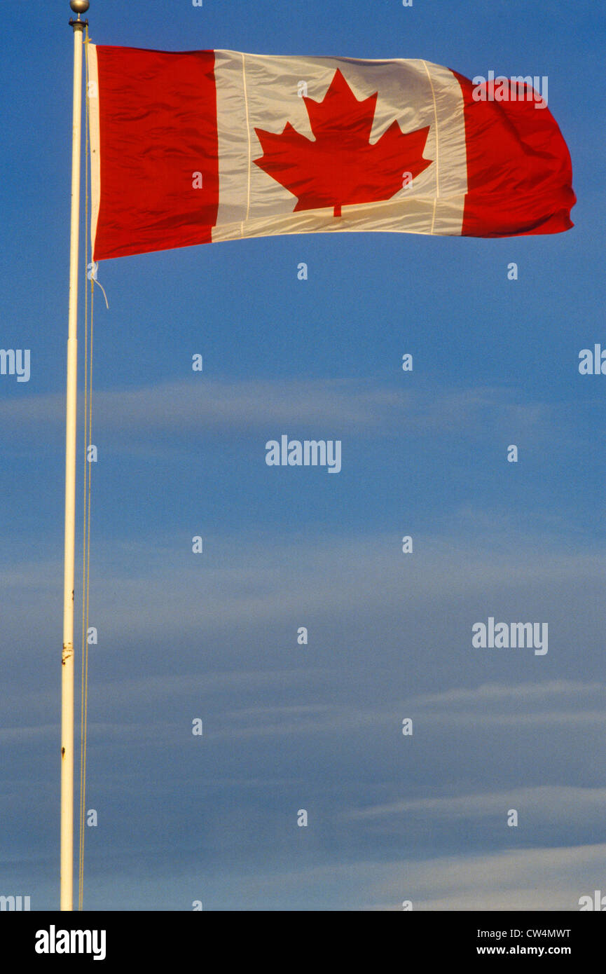 Bandiera foglia canada immagini e fotografie stock ad alta risoluzione ...