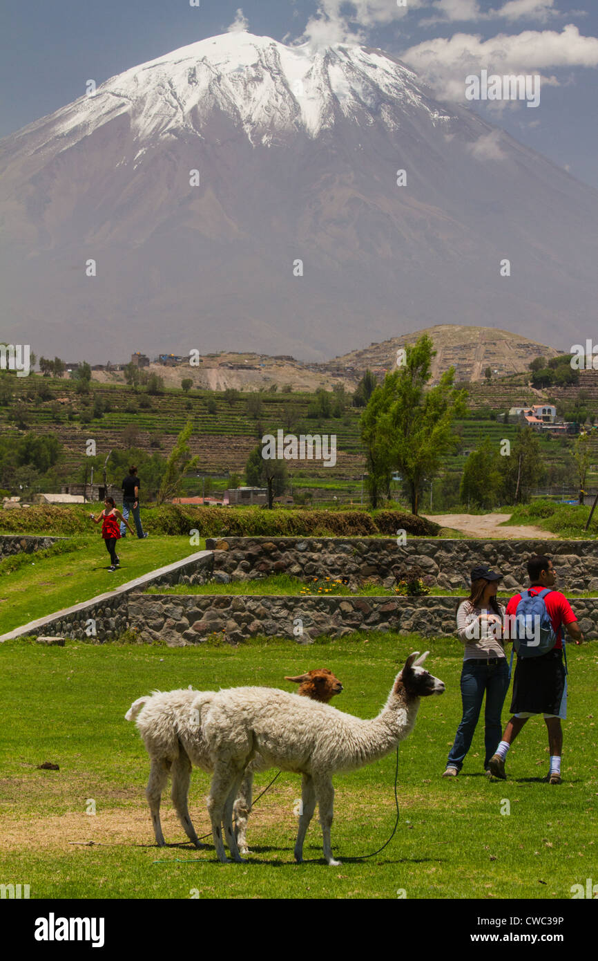 Arequipa peru immagini e fotografie stock ad alta risoluzione - Alamy