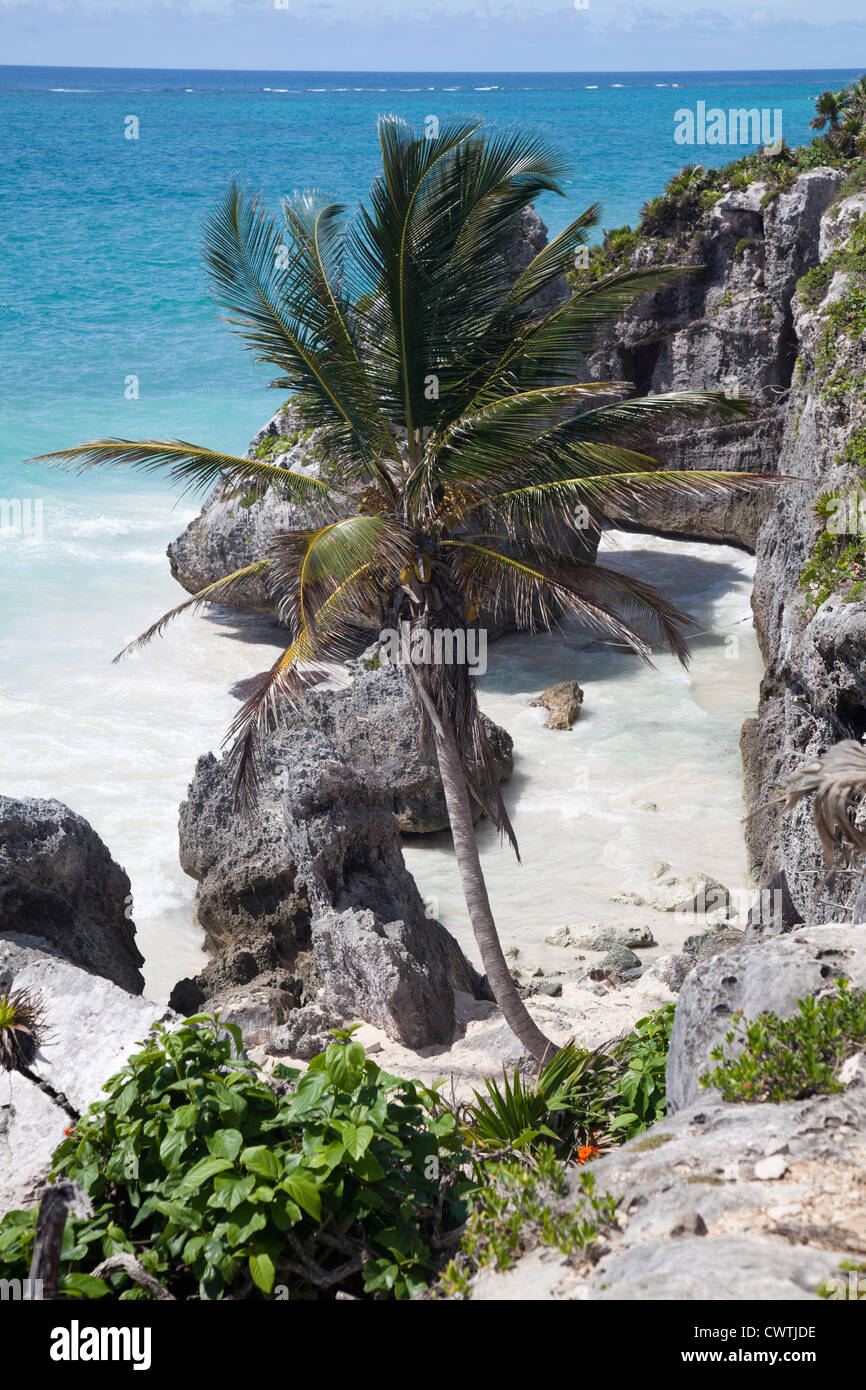 America spiaggia sabbia mare immagini e fotografie stock ad alta ...