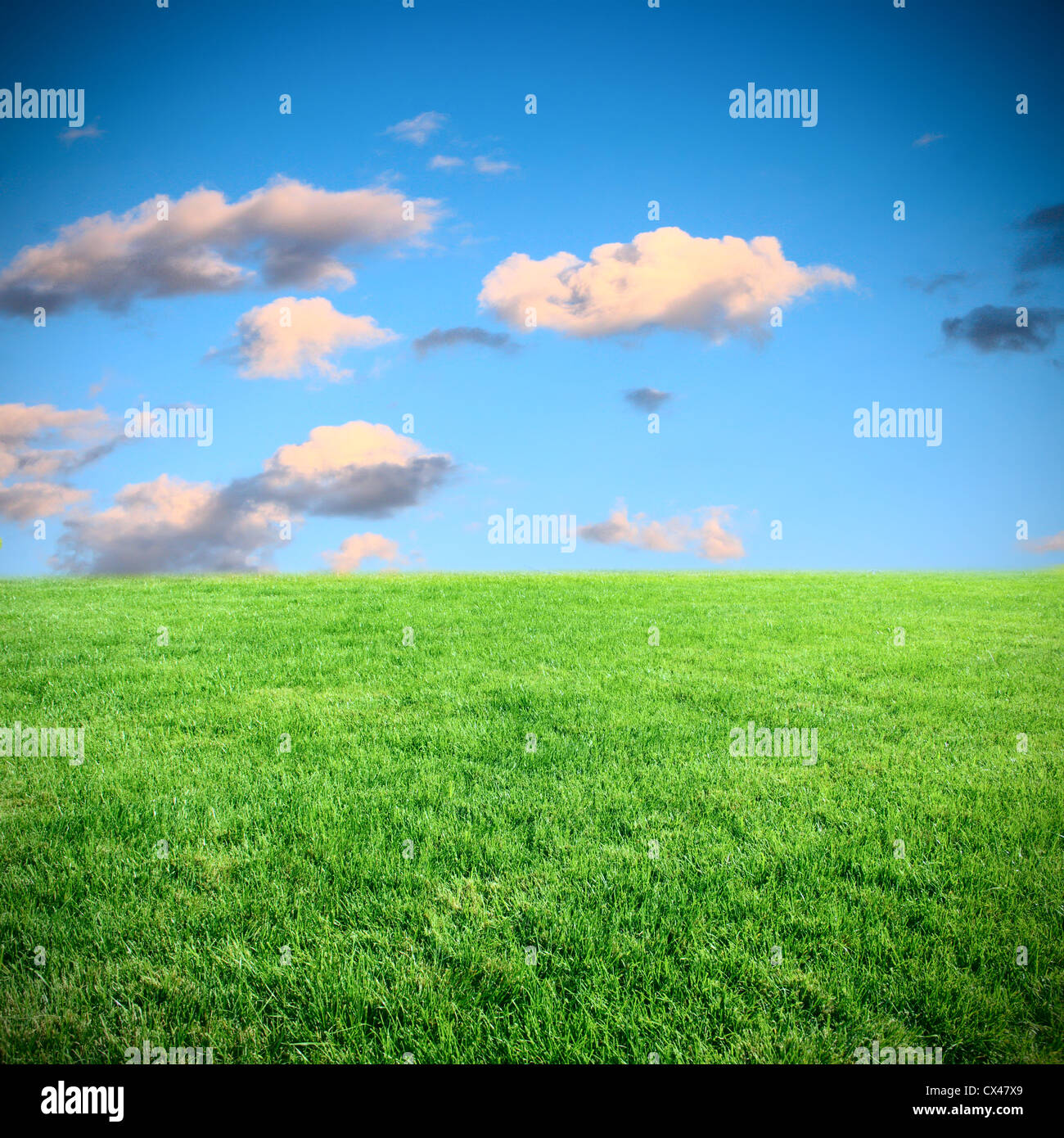 Spazio verde cieli bui immagini e fotografie stock ad alta risoluzione ...
