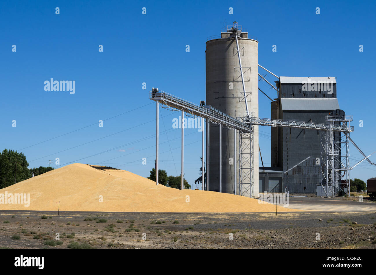 Bidoni di grano in metallo immagini e fotografie stock ad alta ...