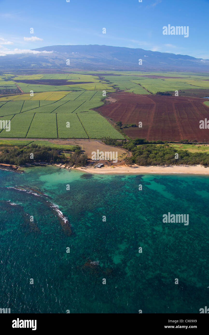 Parco di baldwin immagini e fotografie stock ad alta risoluzione - Alamy