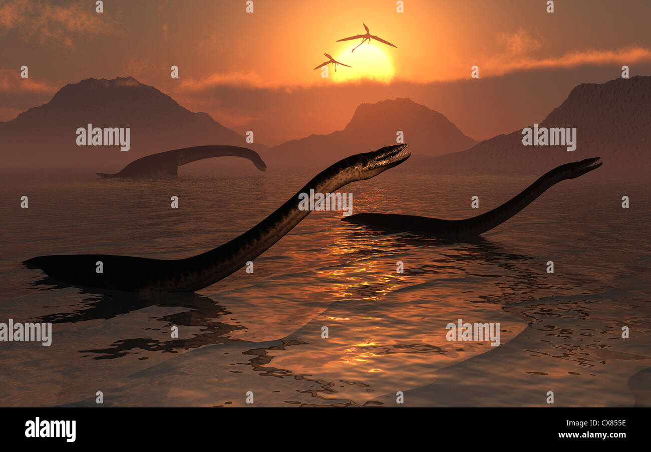 Plesiosauri plesiosauri immagini e fotografie stock ad alta risoluzione ...