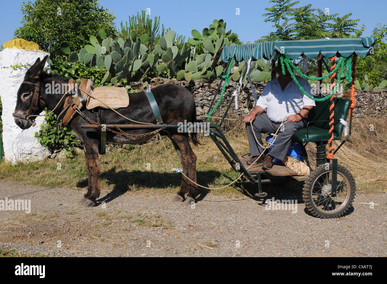 Muro di pietra e chumbo dietro immagini e fotografie stock ad alta ...