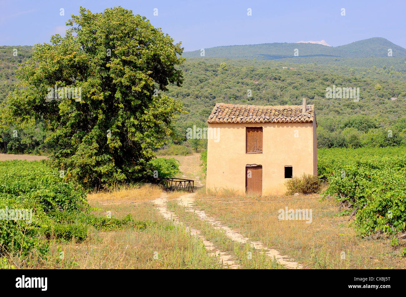 Vigneto con capanna immagini e fotografie stock ad alta risoluzione - Alamy