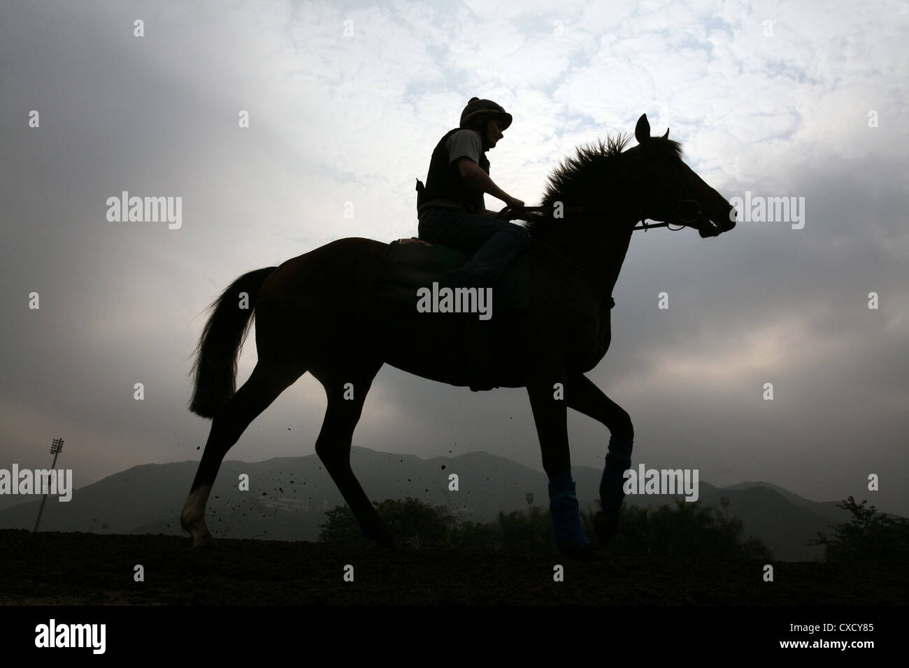 Sagoma di cavallo e cavaliere immagini e fotografie stock ad alta ...