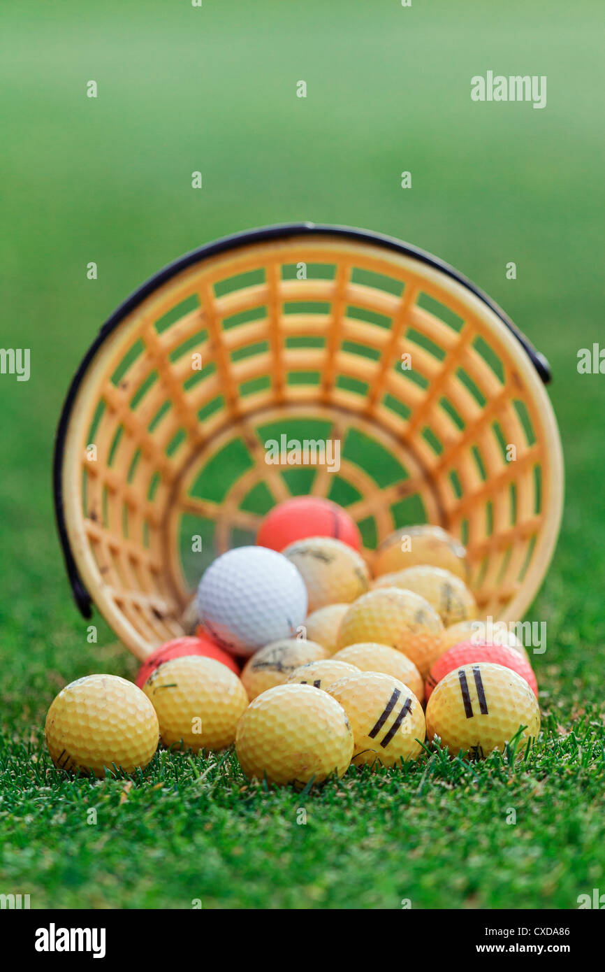 Cesto della pallina da golf immagini e fotografie stock ad alta ...