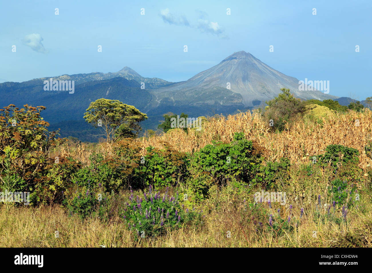 Vulcano americano immagini e fotografie stock ad alta risoluzione - Alamy