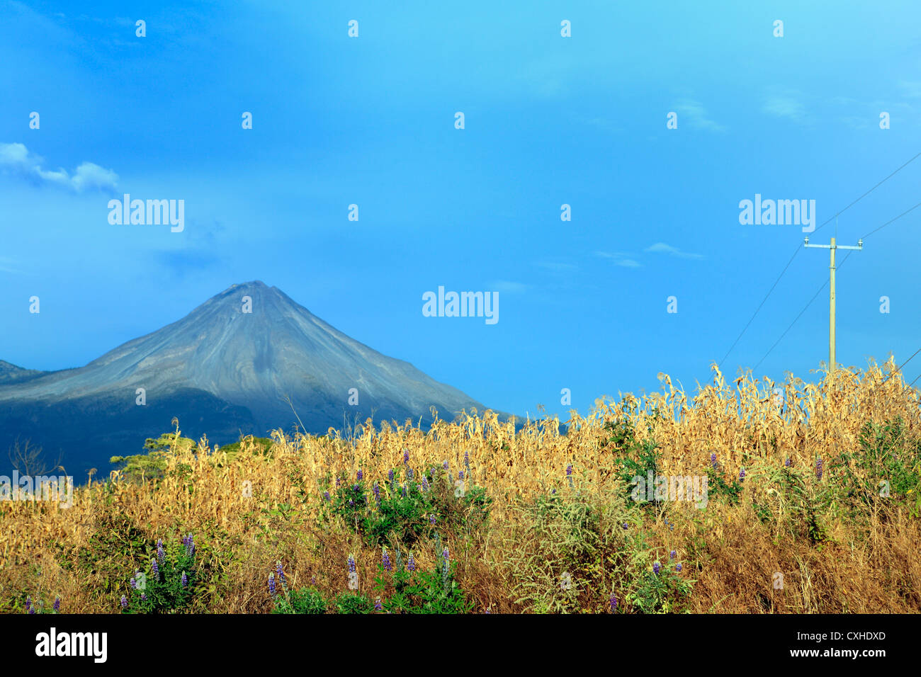 Vulcano americano immagini e fotografie stock ad alta risoluzione - Alamy